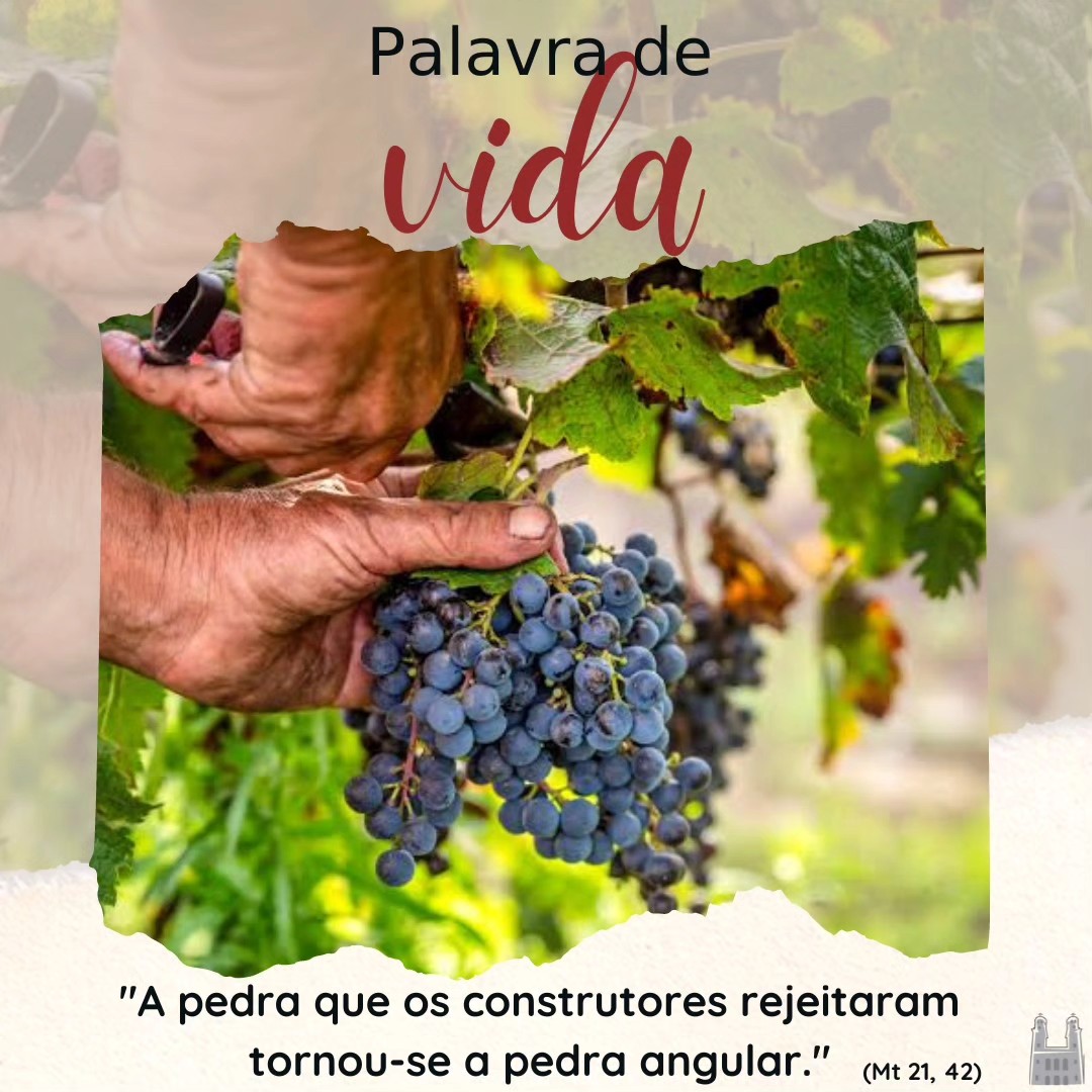 As pedras que os construtores rejeitaram tornou-se a pedra angular ...